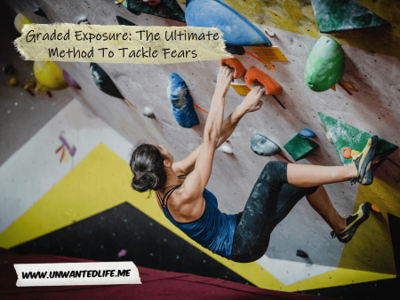 Graded Exposure: The Ultimate Method To Tackle Fears