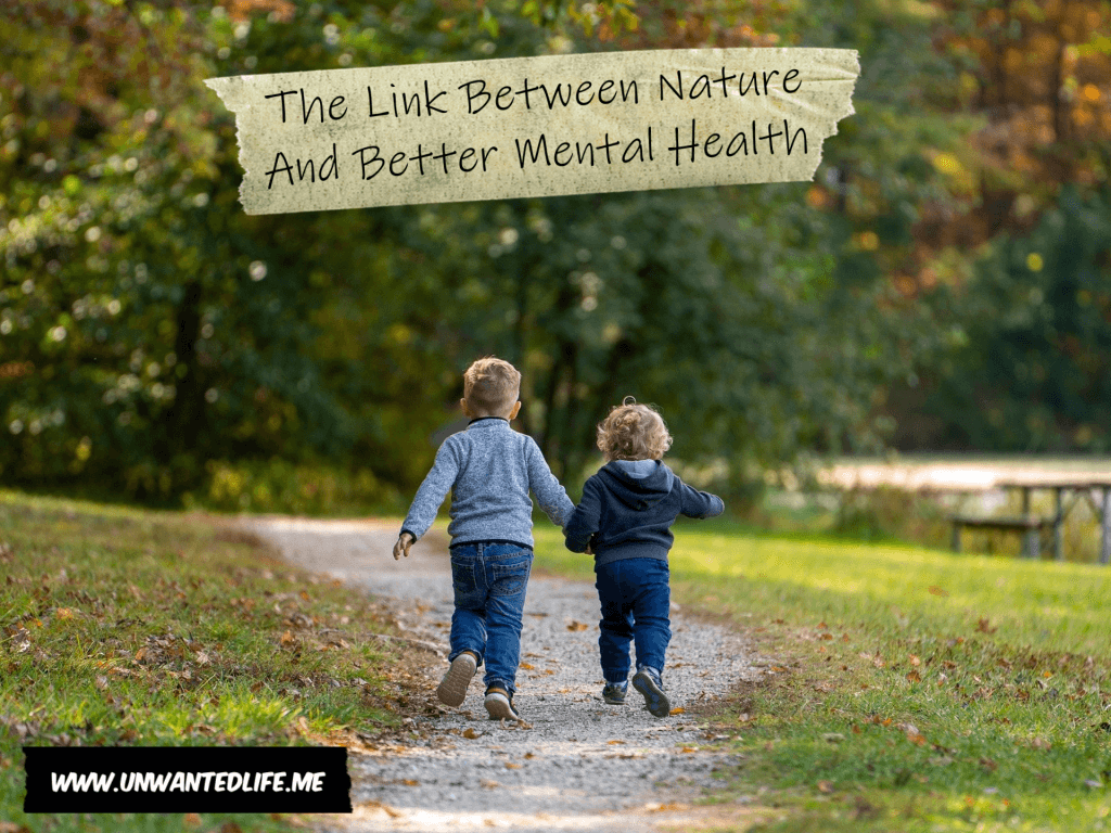 The Link Between Nature And Better Mental Health - Unwanted Life