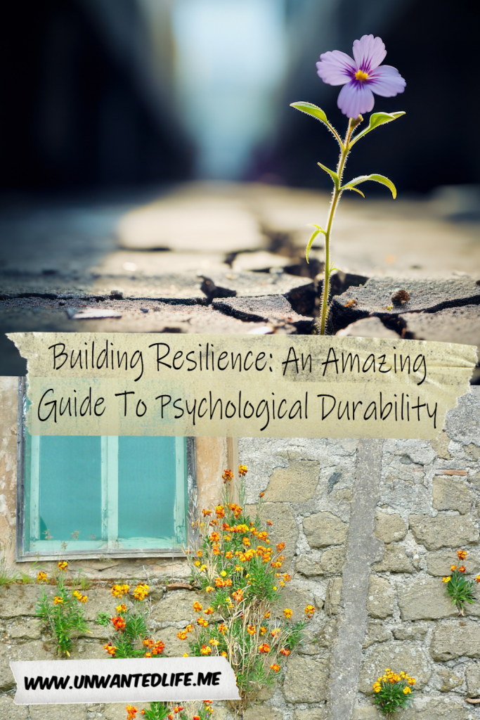 Building Resilience: An Amazing Guide To Psychological Durability ...
